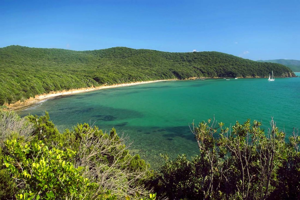 Der Strand von Cala Violina in der Maremma, Toskana - Enjoy Maremma