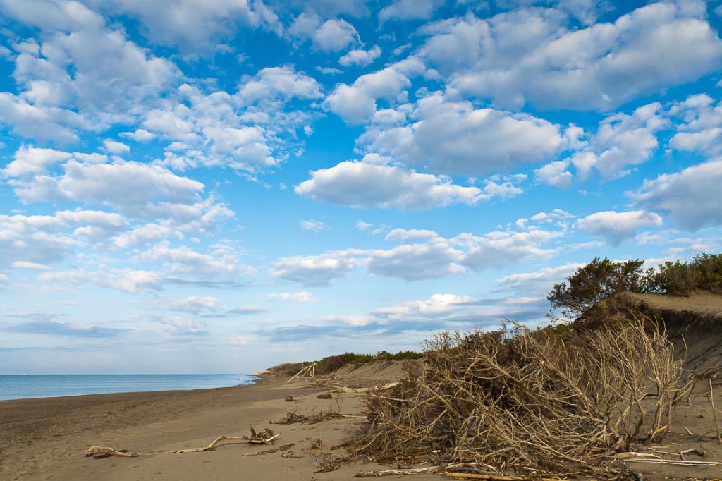 Marina di Alberese in Maremma, Tuscany - Enjoy Maremma